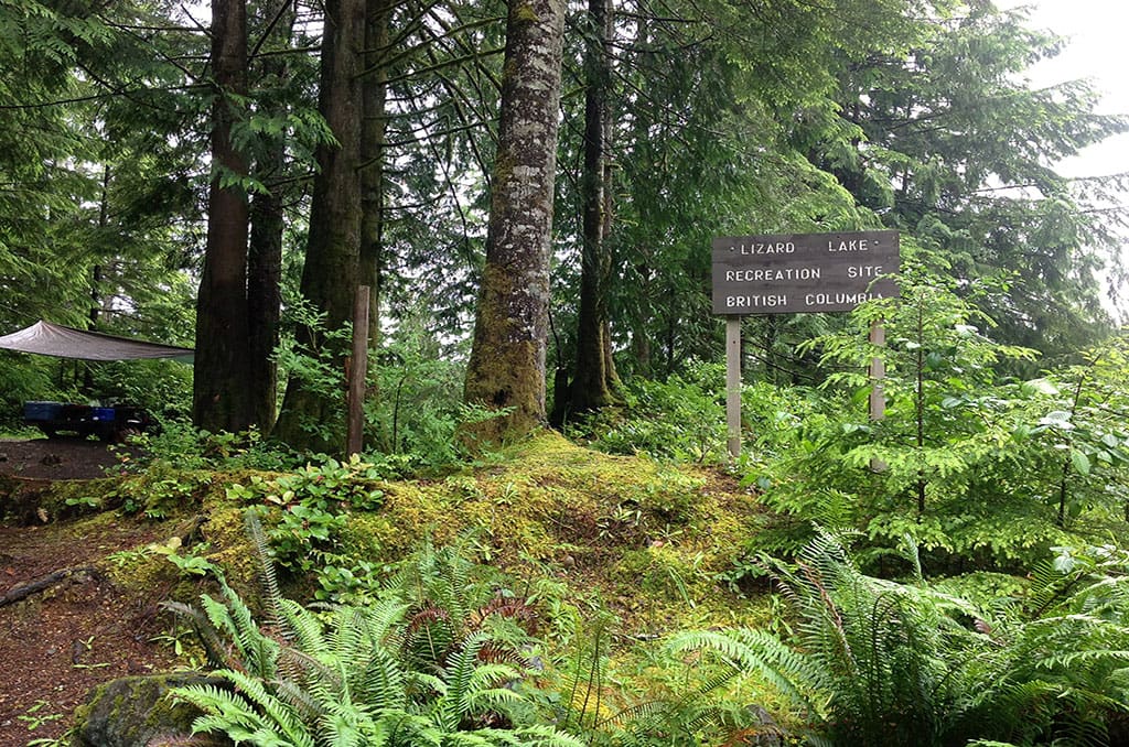 Lizard Lake - Handsome Dan Enterprises